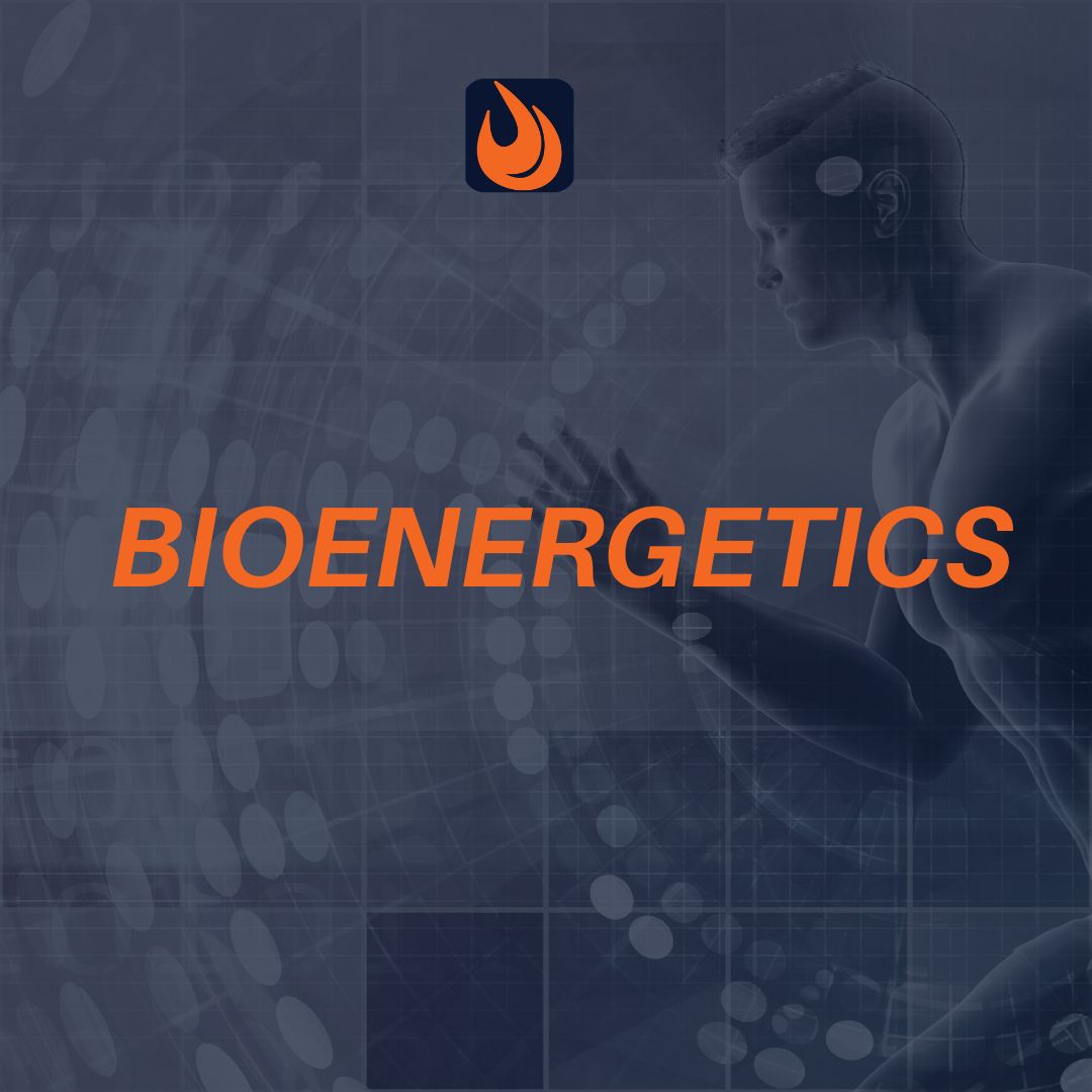 Bioenergetics: Aerobic versus Anaerobic Energy Production