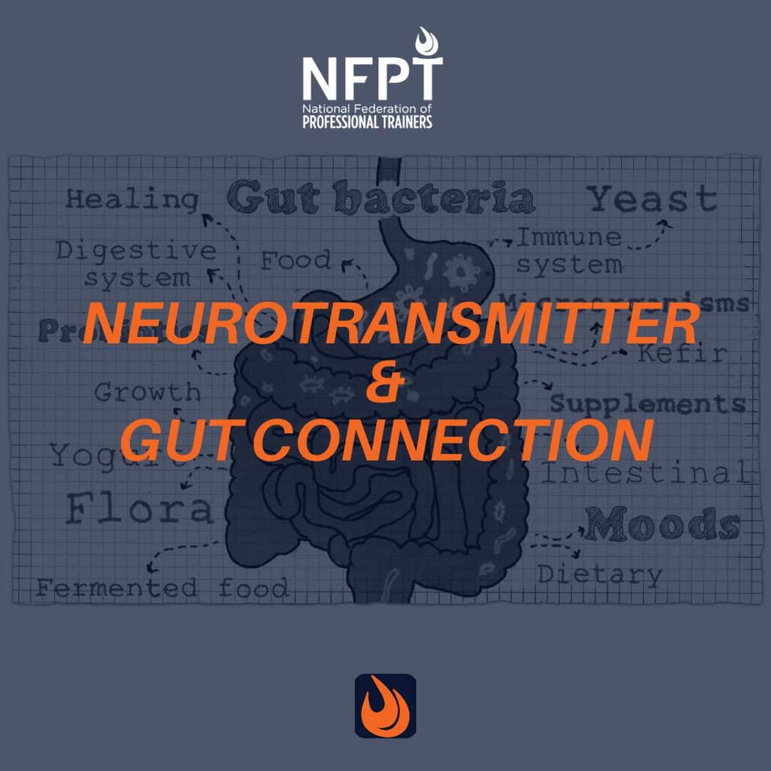 Gut Reaction: Neurotransmitters Serotonin, Dopamine, and Gut Health Synergy