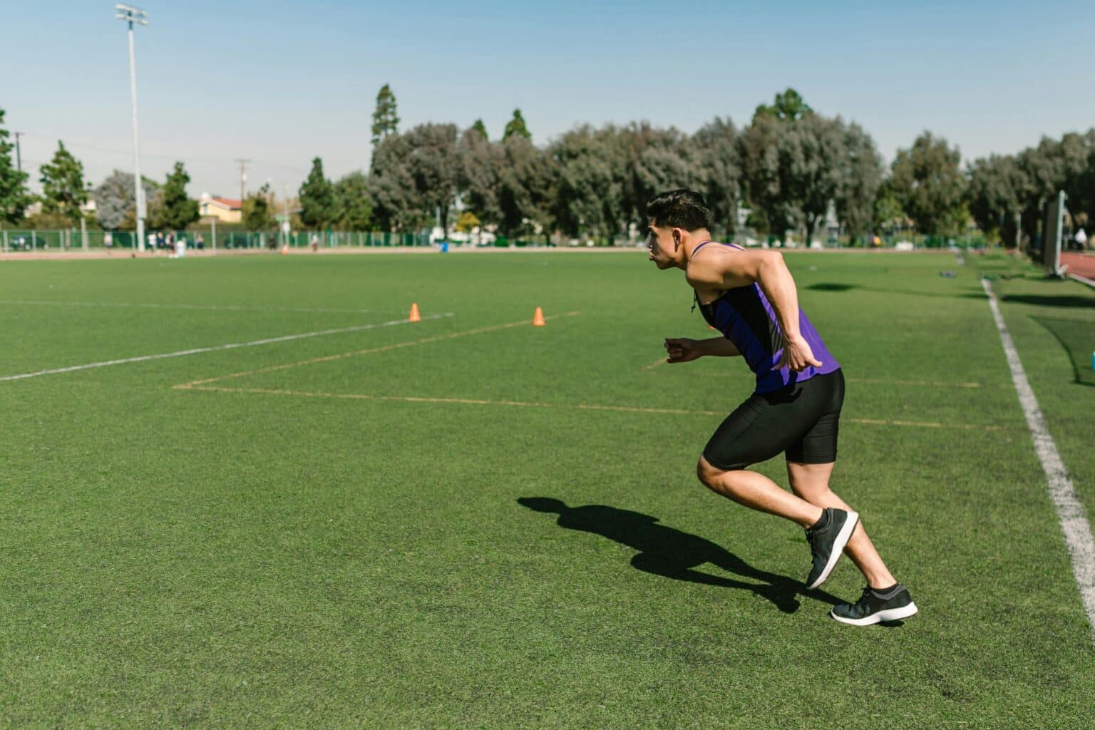 Moment Arms in Exercise: An Idiot's Guide to the Physics of Movement